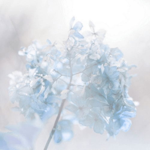 Aesthetic Roblox Decal Codes (Perfect for Bloxburg) | Roblox Den