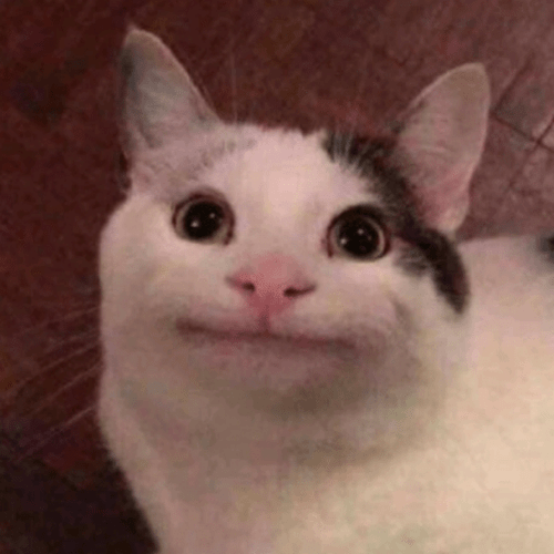 Roblox Cat Image IDs | Roblox Den