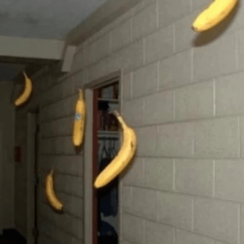 List of Cursed Roblox Decal IDs (Very Weird) | Roblox Den