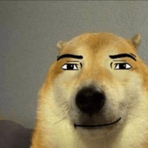 Page 2 - List of All Roblox Meme Decal IDs | Roblox Den
