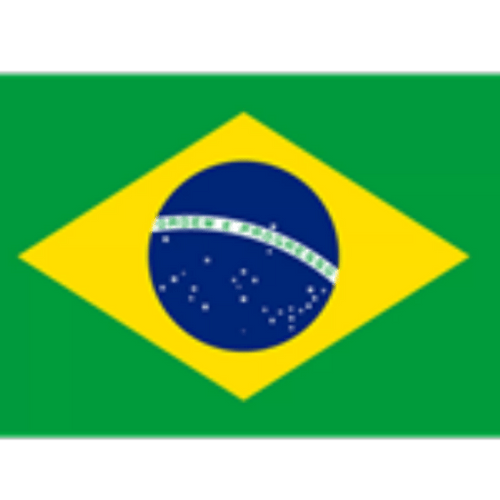 Roblox Flag ID List: decal IDs for all types of flag | Roblox Den