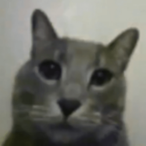 Page 33 - Roblox Decal IDs Database: browse 3,000+ image IDs (2025 ...