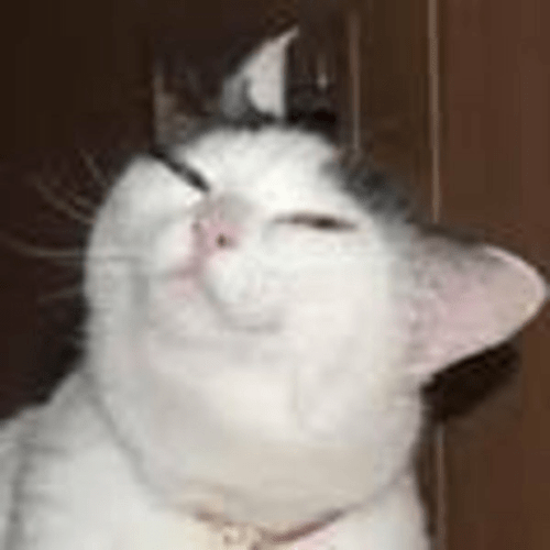Page 3 - Roblox Cat Image IDs | Roblox Den