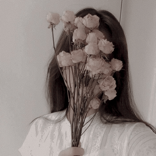 Page 33 - Roblox Decal IDs Database: browse 3,000+ image IDs (2025 ...