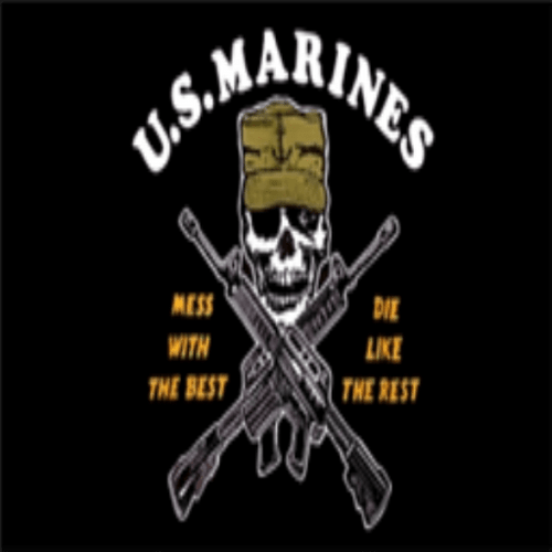 Page 2 - Roblox Flag ID List: decal IDs for all types of flag | Roblox Den