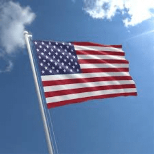 Page 4 - Roblox Flag ID List: decal IDs for all types of flag | Roblox Den