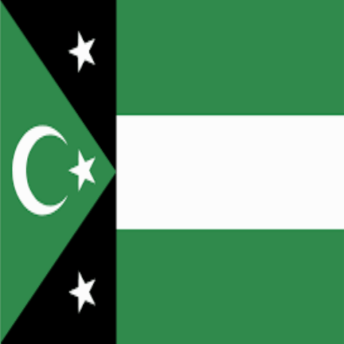 Page 4 - Roblox Flag ID List: decal IDs for all types of flag | Roblox Den