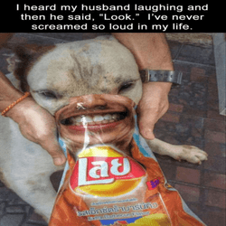 Page 2 - Funniest Roblox decal & image IDs - massive list | Roblox Den