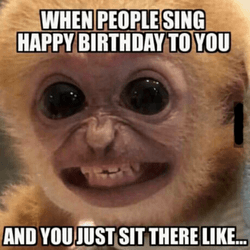 Roblox Decal IDs Database: browse 3,000+ image IDs (2025) | Roblox Den