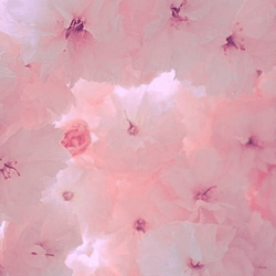 Page 13 - Roblox Decal IDs Database: browse 3,000+ image IDs (2026 ...