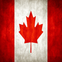 Roblox Flag ID List: decal IDs for all types of flag | Roblox Den